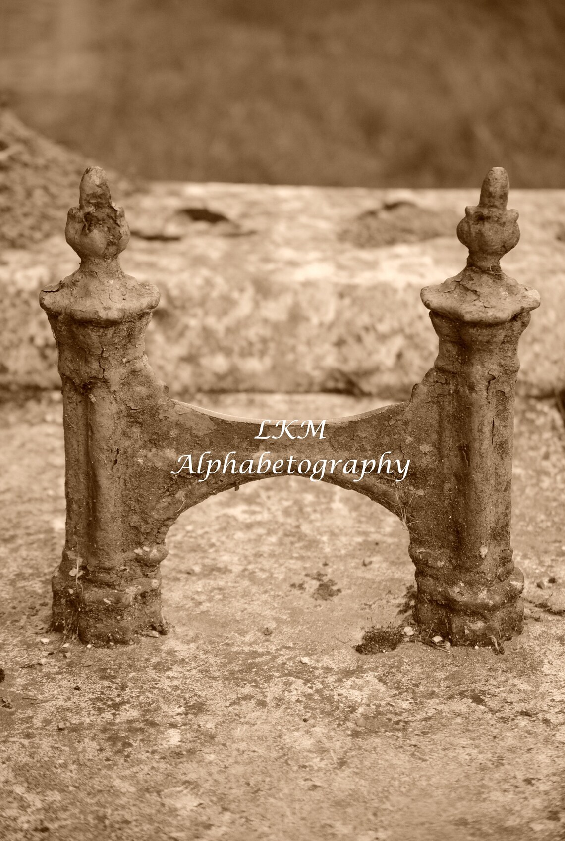 Alphabet Photography: Letter H - Etsy