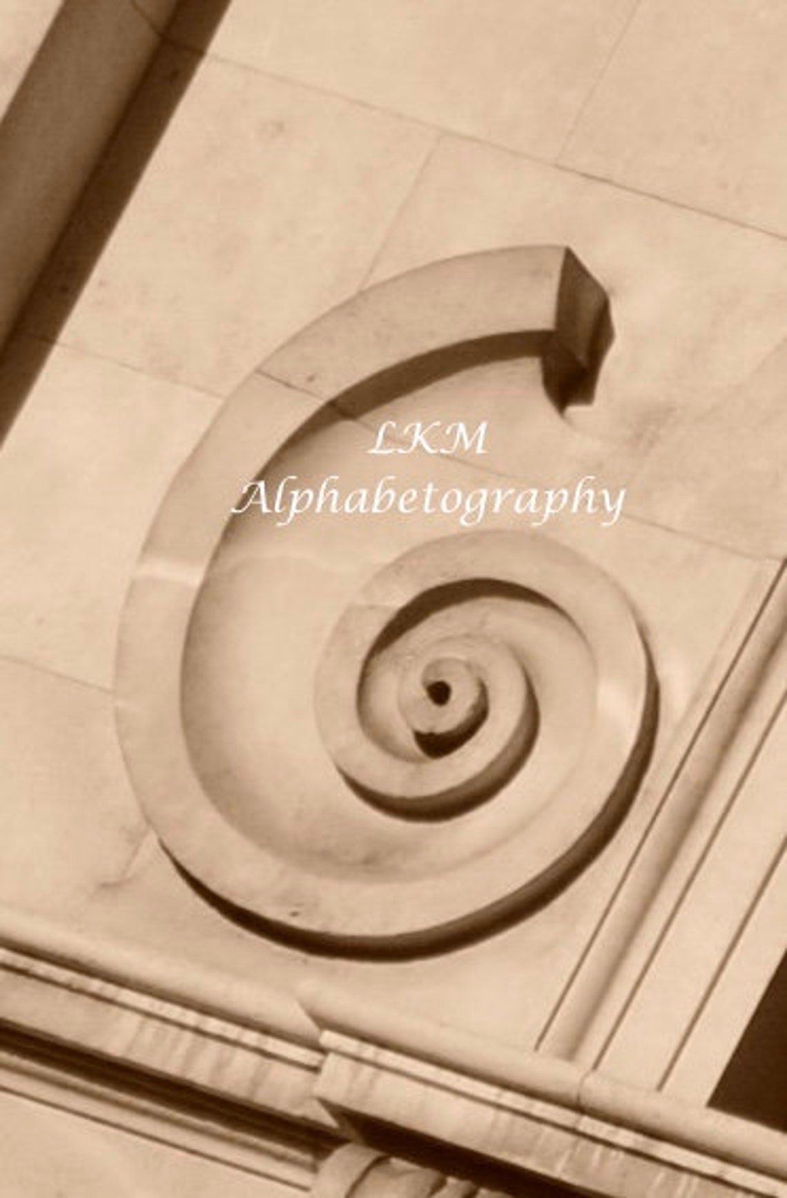 Alphabet Photography: Letter G - Etsy