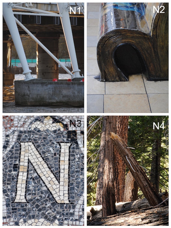 Alphabet Photography: Letter N | Etsy