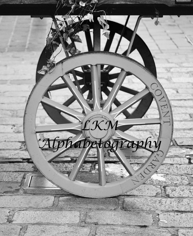 Alphabet Photography: Letter O | Etsy