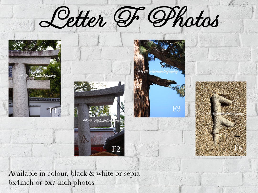 Alphabet Photography: Letter F Photos - Etsy