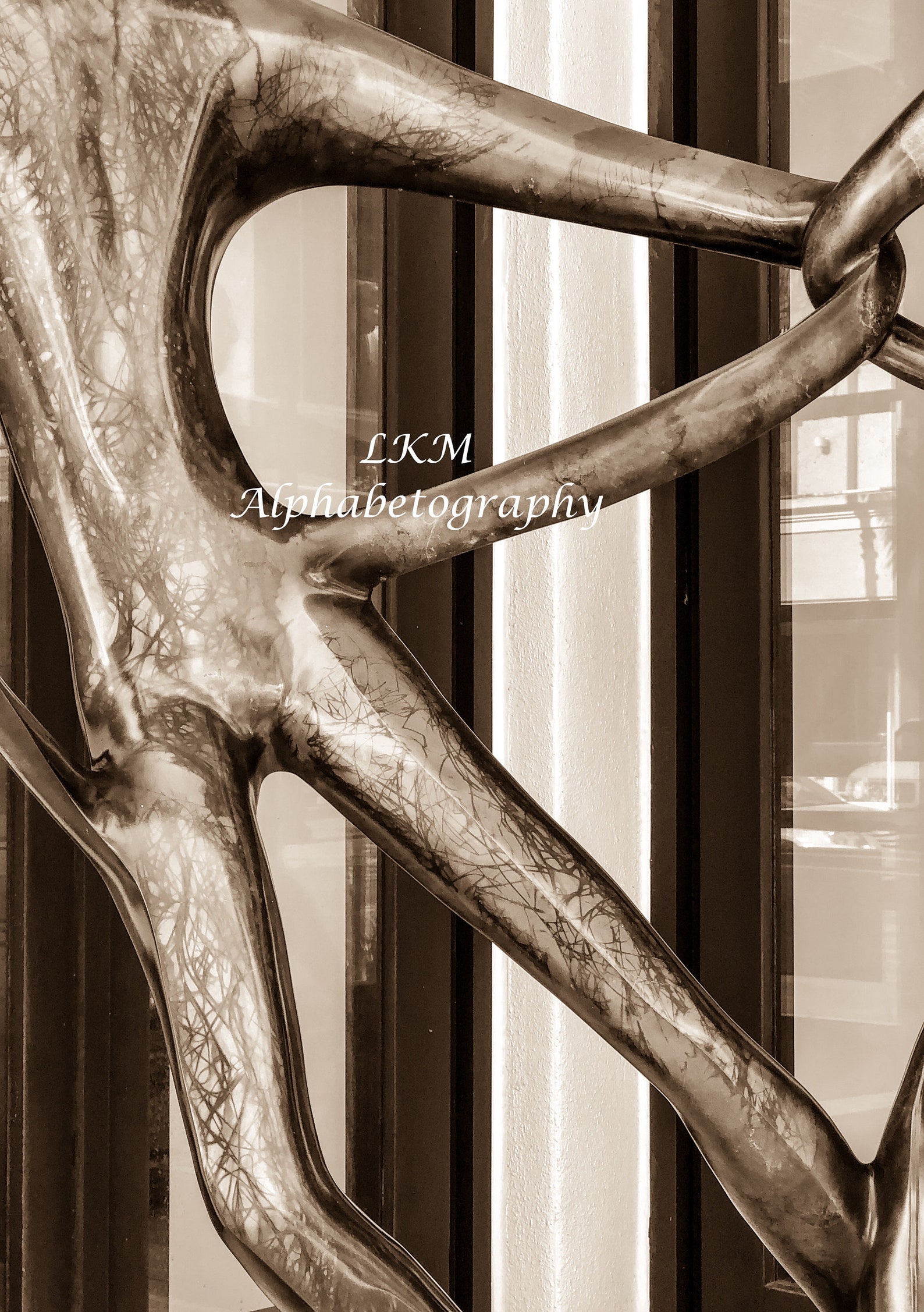 Alphabet Photography: Letter R Photo - Etsy