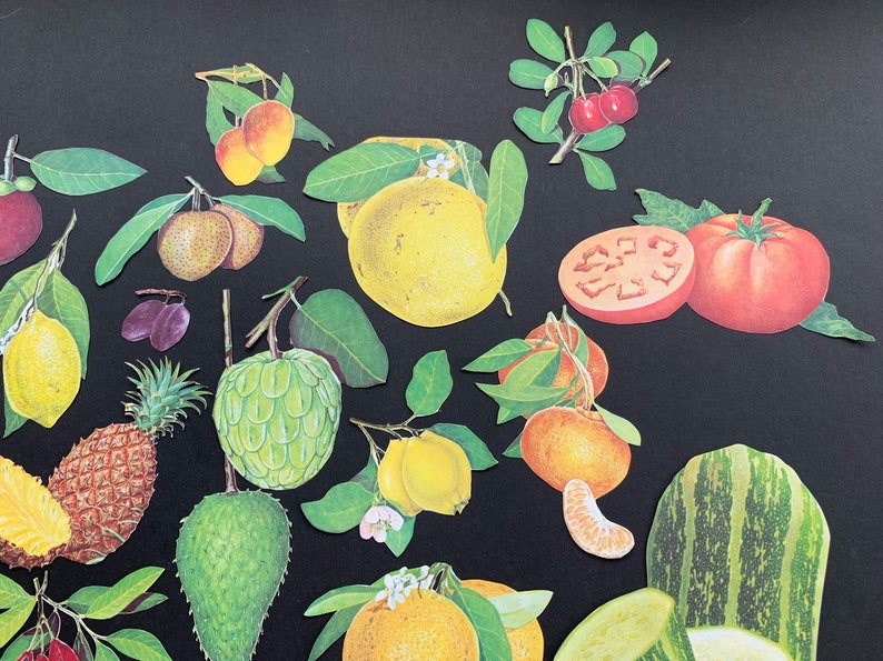 Fruit Scrapbook Paper Ephemera Cut Outs Journalling Collage Decoupage ...