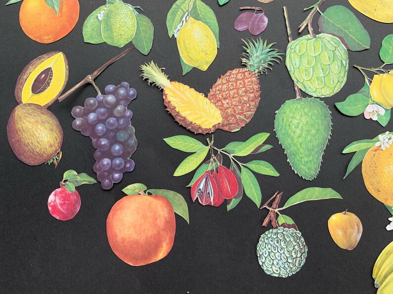 Fruit Scrapbook Paper Ephemera Cut Outs Journalling Collage Decoupage ...