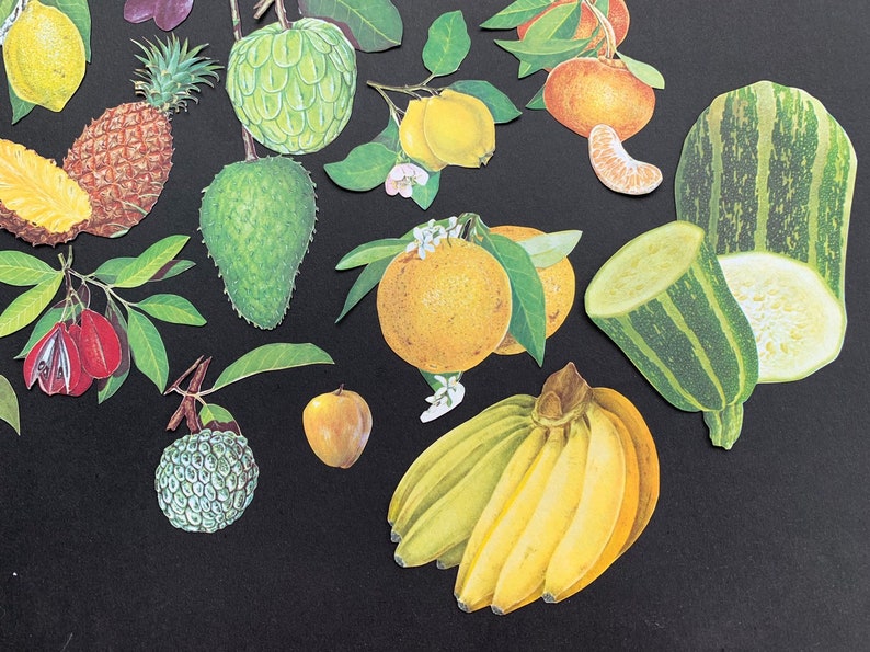 Fruit Scrapbook Paper Ephemera Cut Outs Journalling Collage Decoupage ...