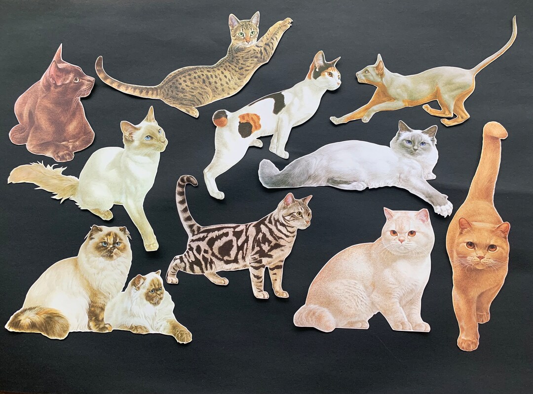 Cats Paper Cut Outs Scrapbook Embellishments Crafts Vintage Ephemera ...