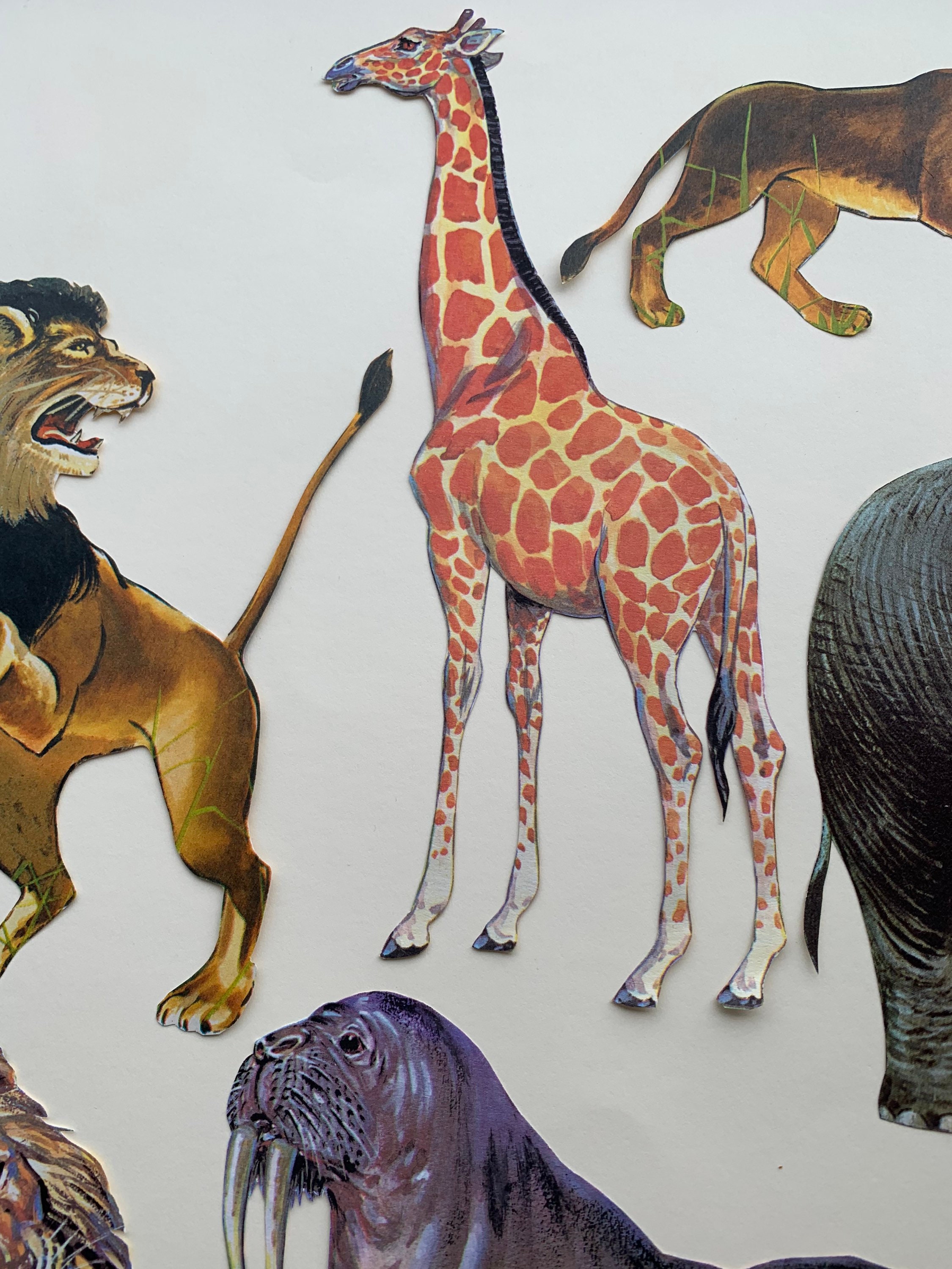 Zoo Animals Vintage Scrapbook Paper Ephemera Journaling Embellishments ...