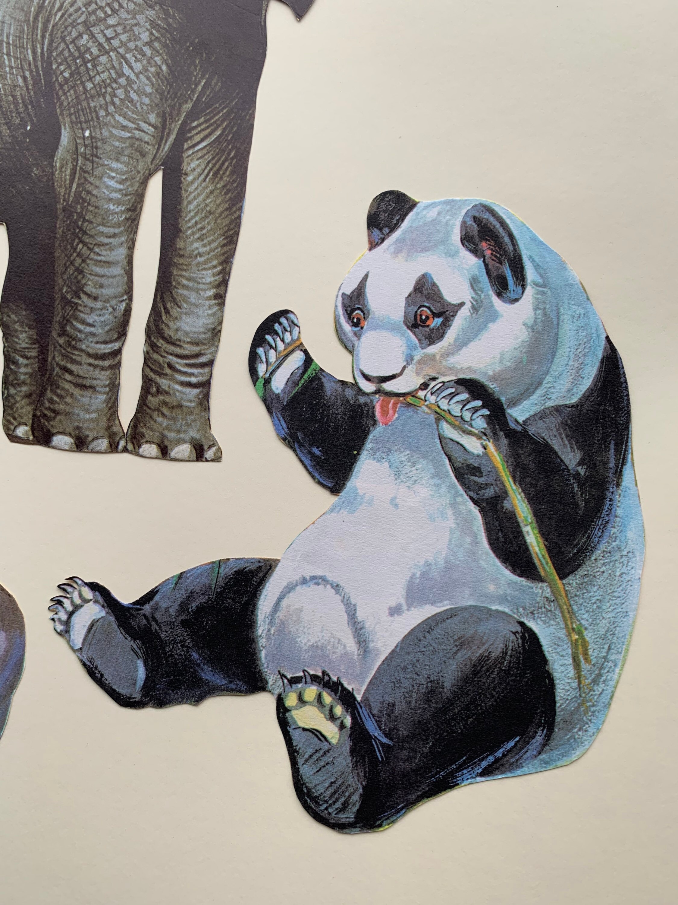 Zoo Animals Vintage Scrapbook Paper Ephemera Journaling Embellishments ...