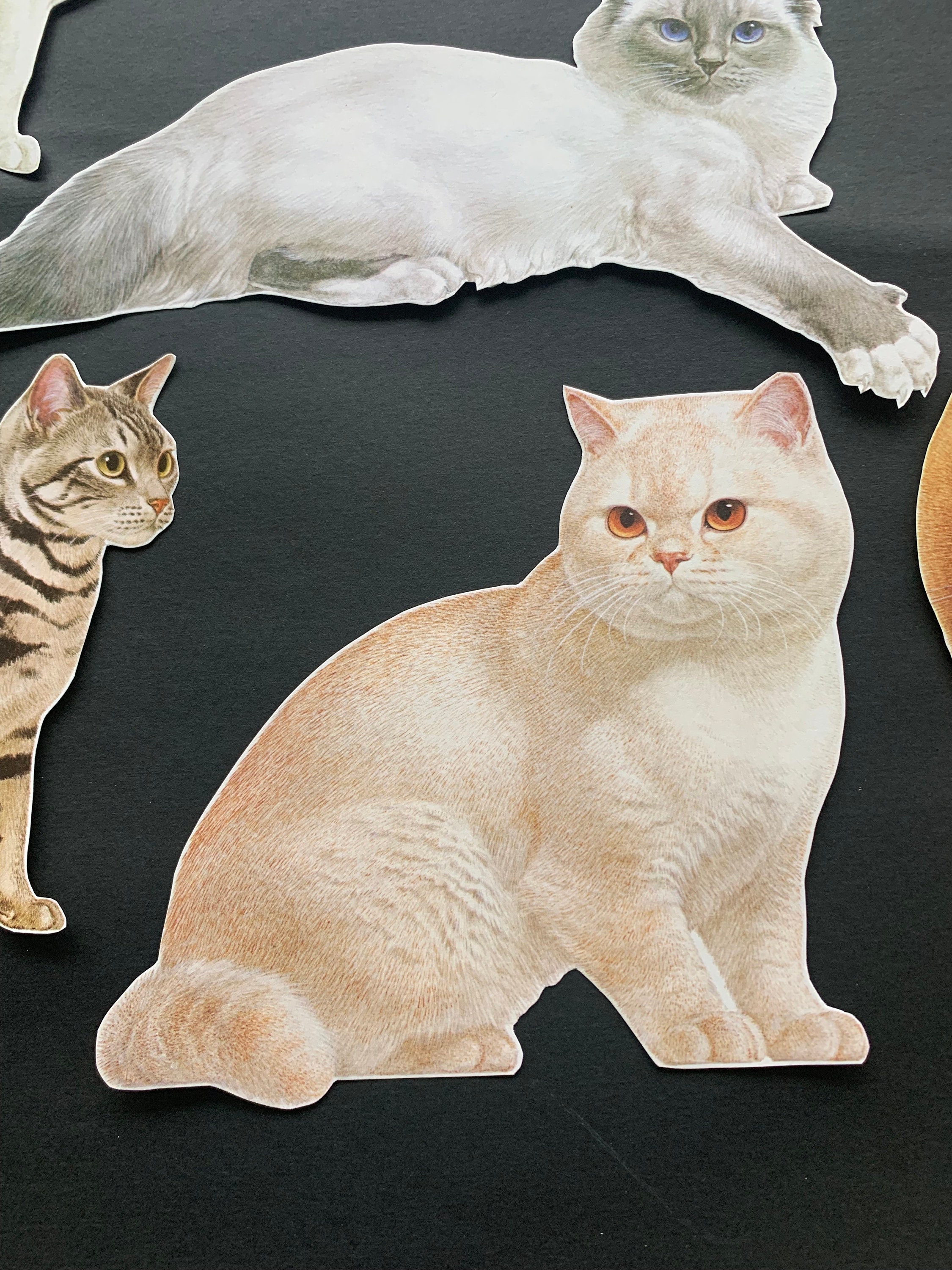 Cats Paper Cut Outs Scrapbook Embellishments Crafts Vintage Ephemera ...
