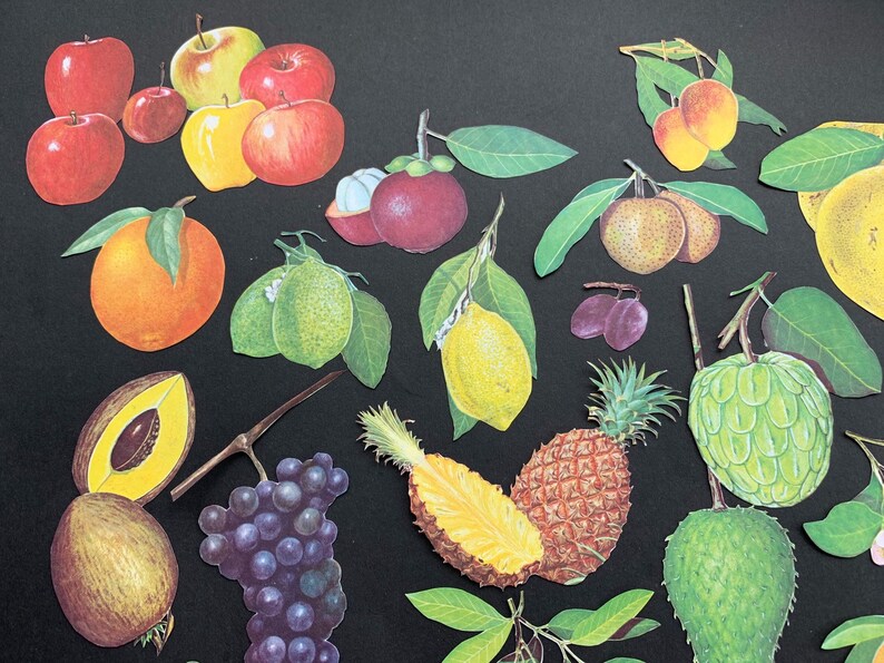 Fruit Scrapbook Paper Ephemera Cut Outs Journalling Collage Decoupage ...