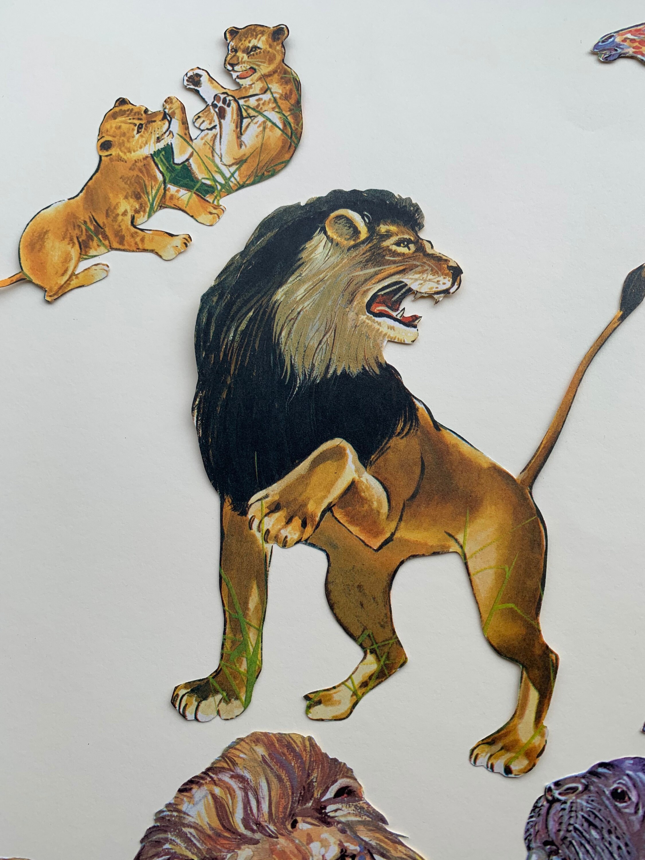 Zoo Animals Vintage Scrapbook Paper Ephemera Journaling Embellishments ...