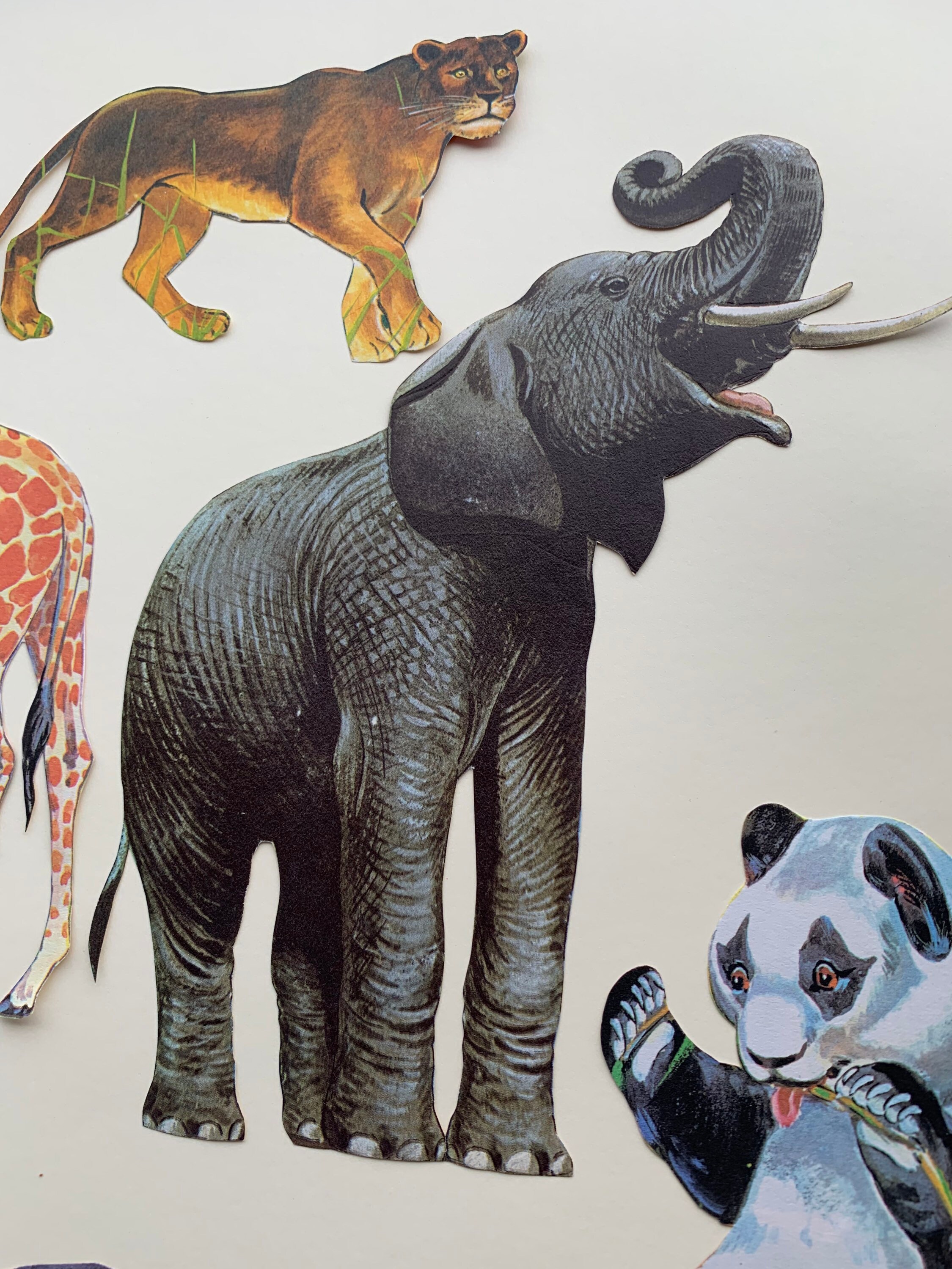 Zoo Animals Vintage Scrapbook Paper Ephemera Journaling Embellishments ...