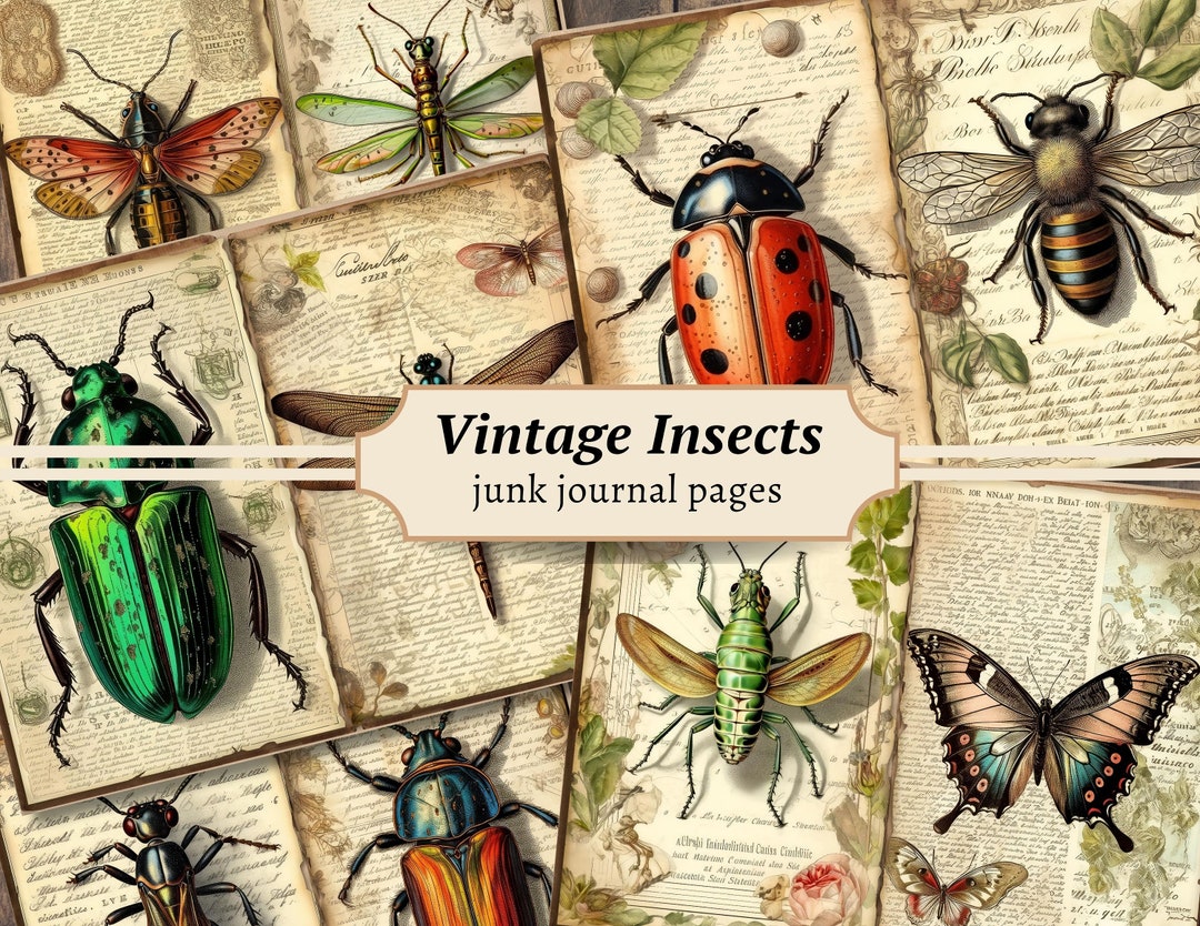 Vintage Insects Junk Journal Pages, Digital Scrapbook Paper Kit ...