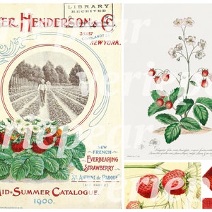 Vintage Strawberry Ephemera, Printable Junk Journal Paper, Digital ...