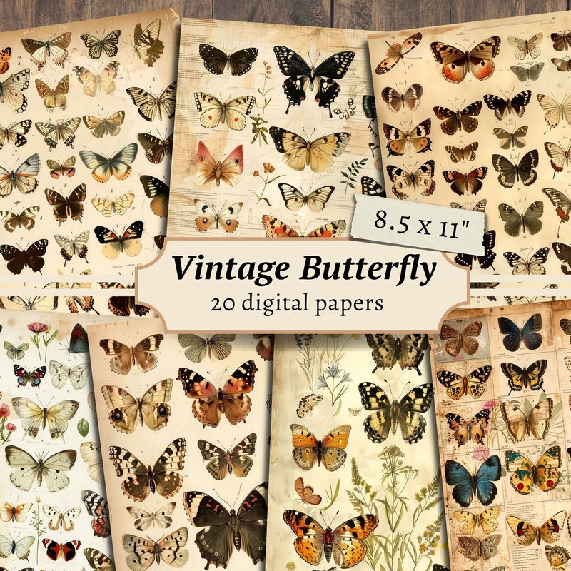 Vintage Butterfly - Etsy