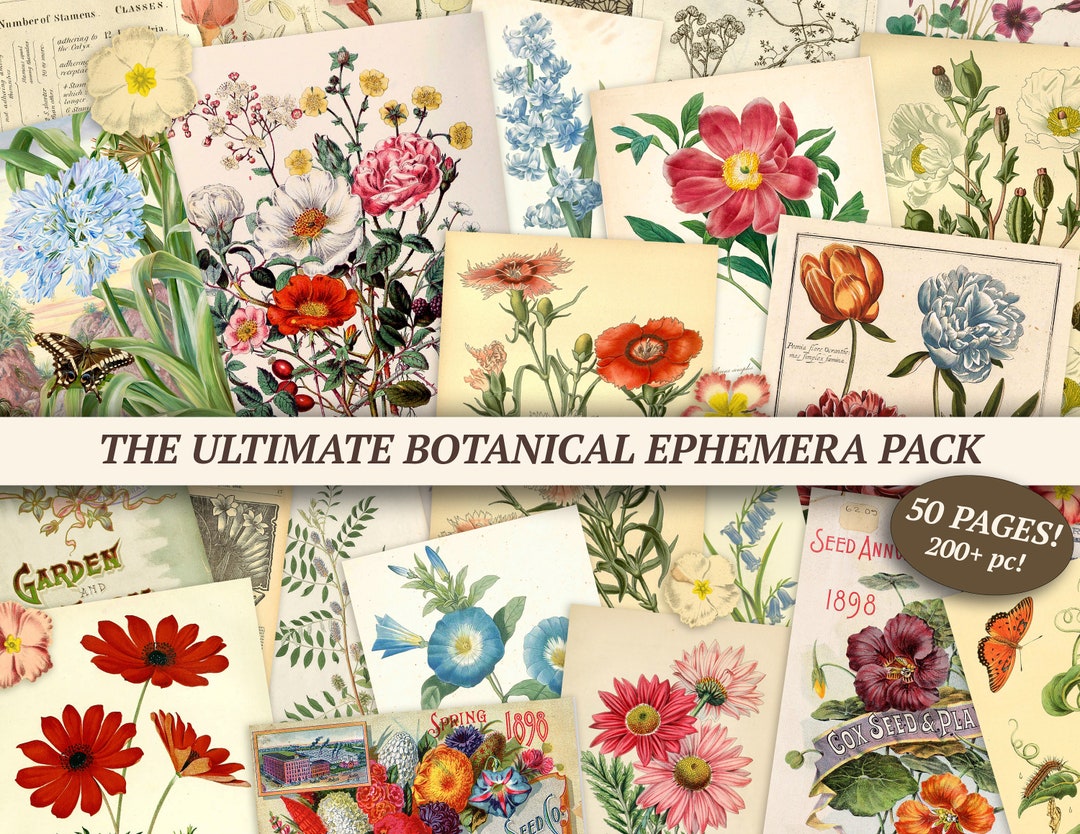 Vintage Botanical Junk Journal Ephemera Pack | 50 Pages, Printable ...
