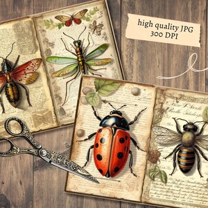 Vintage Insects Junk Journal Pages, Digital Scrapbook Paper Kit ...