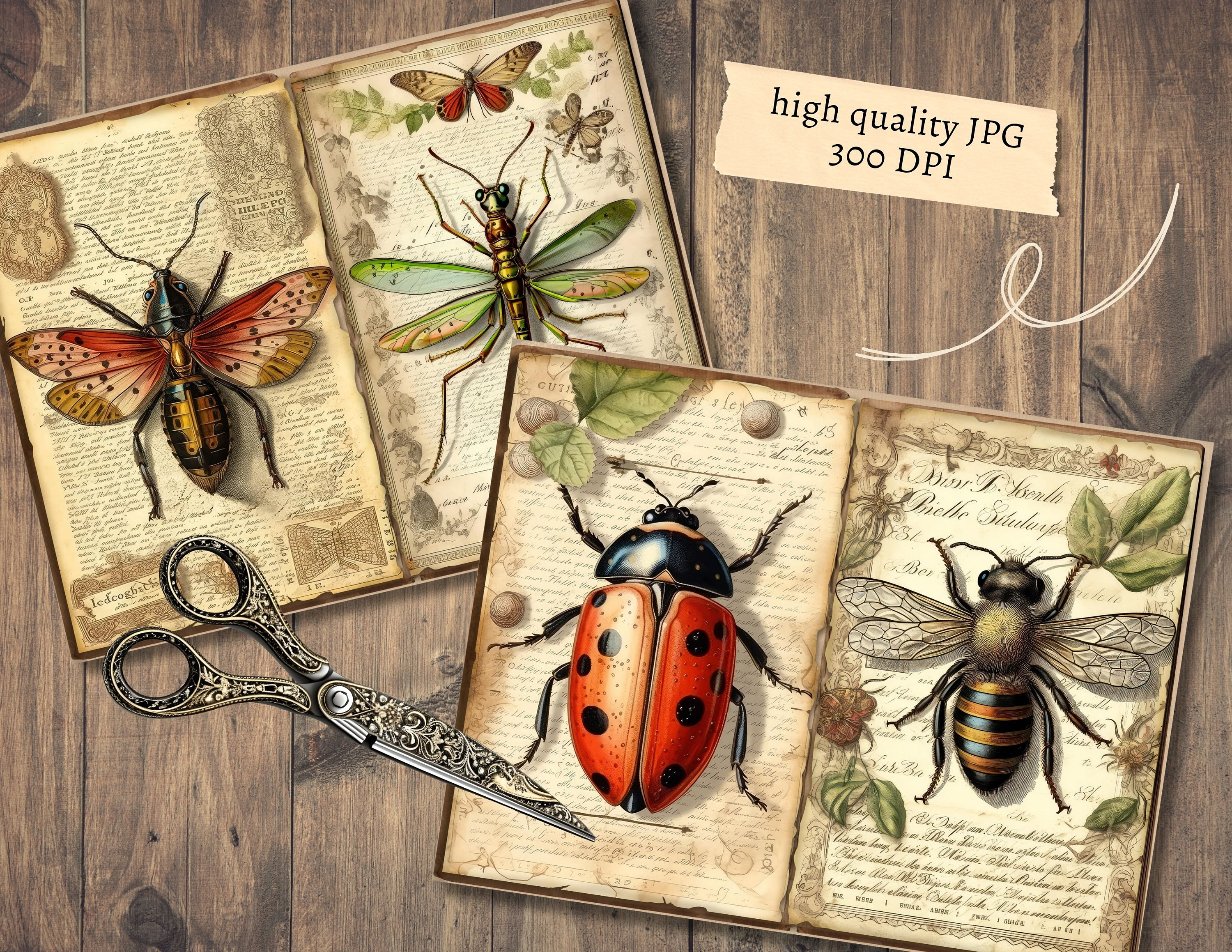 Vintage Insects Junk Journal Pages, Digital Scrapbook Paper Kit ...