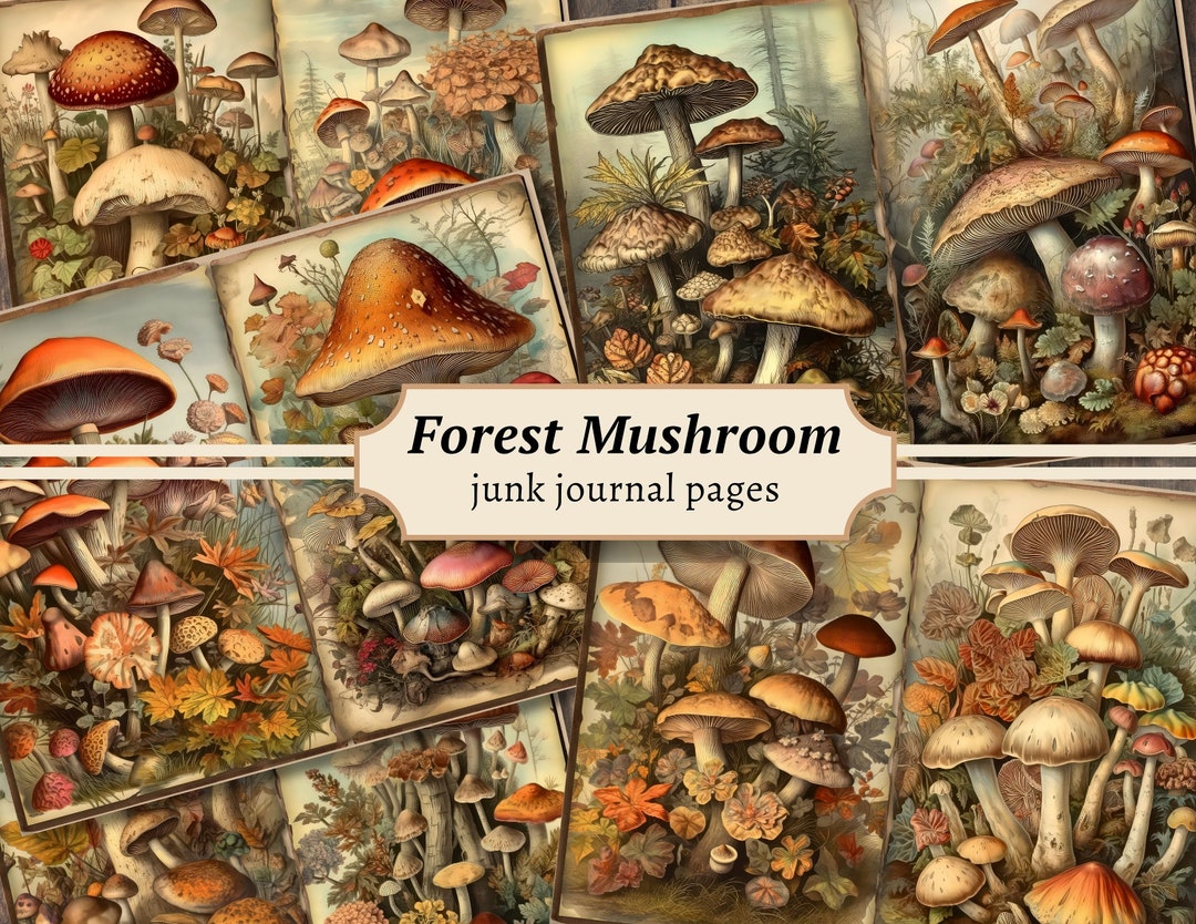 Forest Mushroom Junk Journal Pages, Digital Scrapbook Paper Kit, Autumn ...
