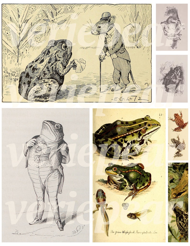 Vintage Frog Ephemera Kit 40 Pc Toad Junk Journal Paper - Etsy