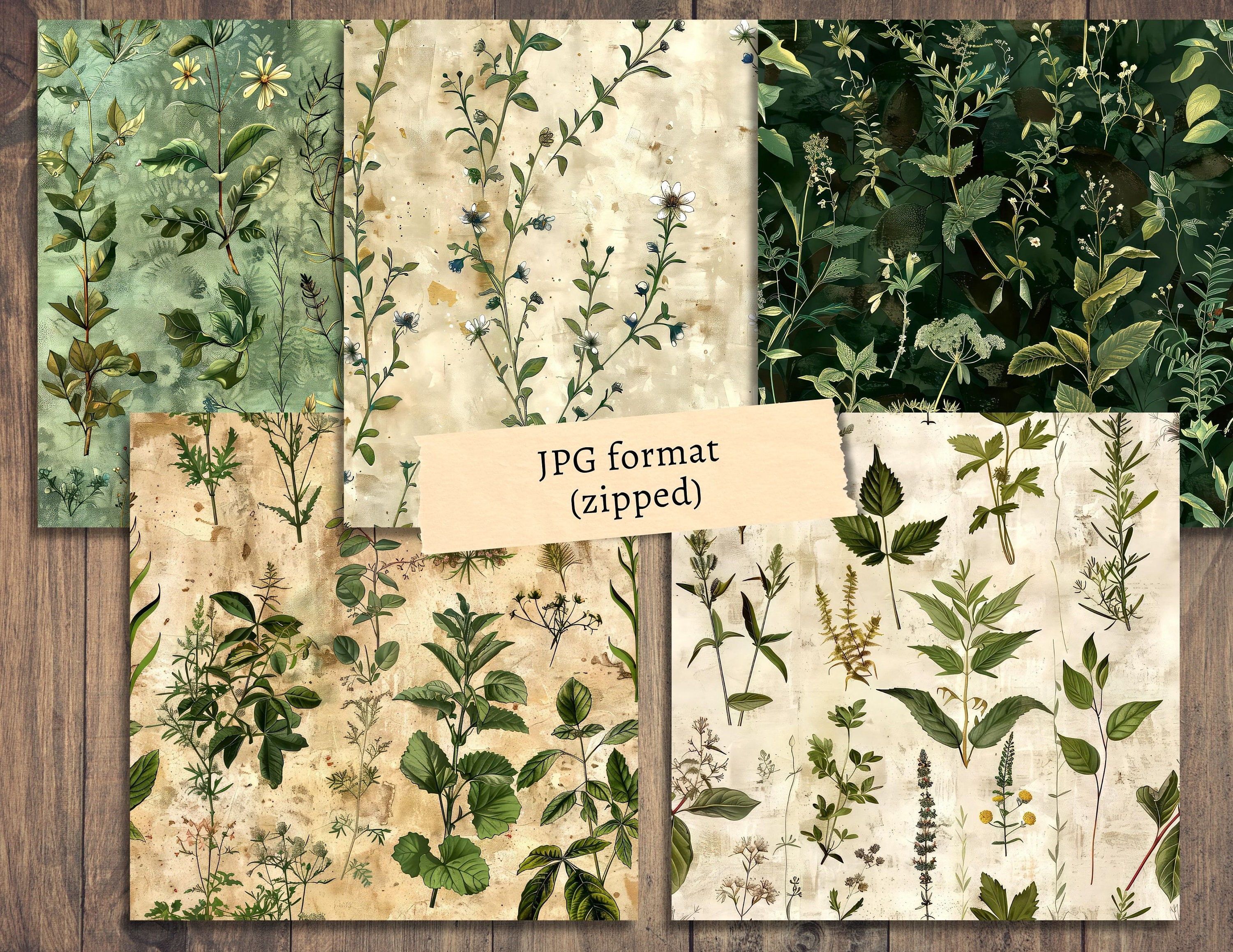 Botanical Herbs Seamless Patterns, Digital Paper Kit, Herbal Scrapbook ...