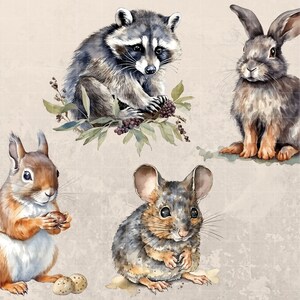 Woodland Animals Watercolor Clipart, Vintage Forest Animals PNG ...