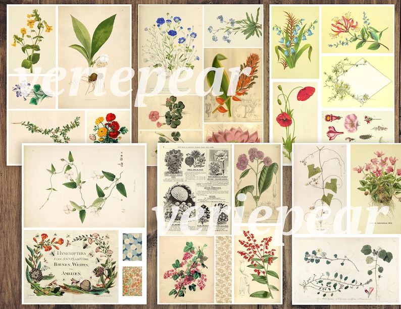 Vintage Botanical Junk Journal Ephemera Pack | 50 Pages, Printable ...