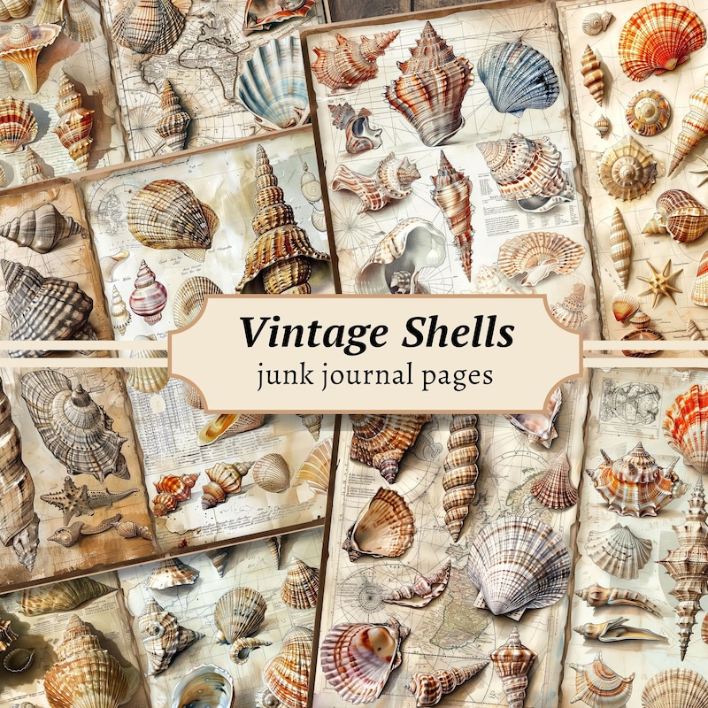 Vintage Seashell Sheets - Etsy UK