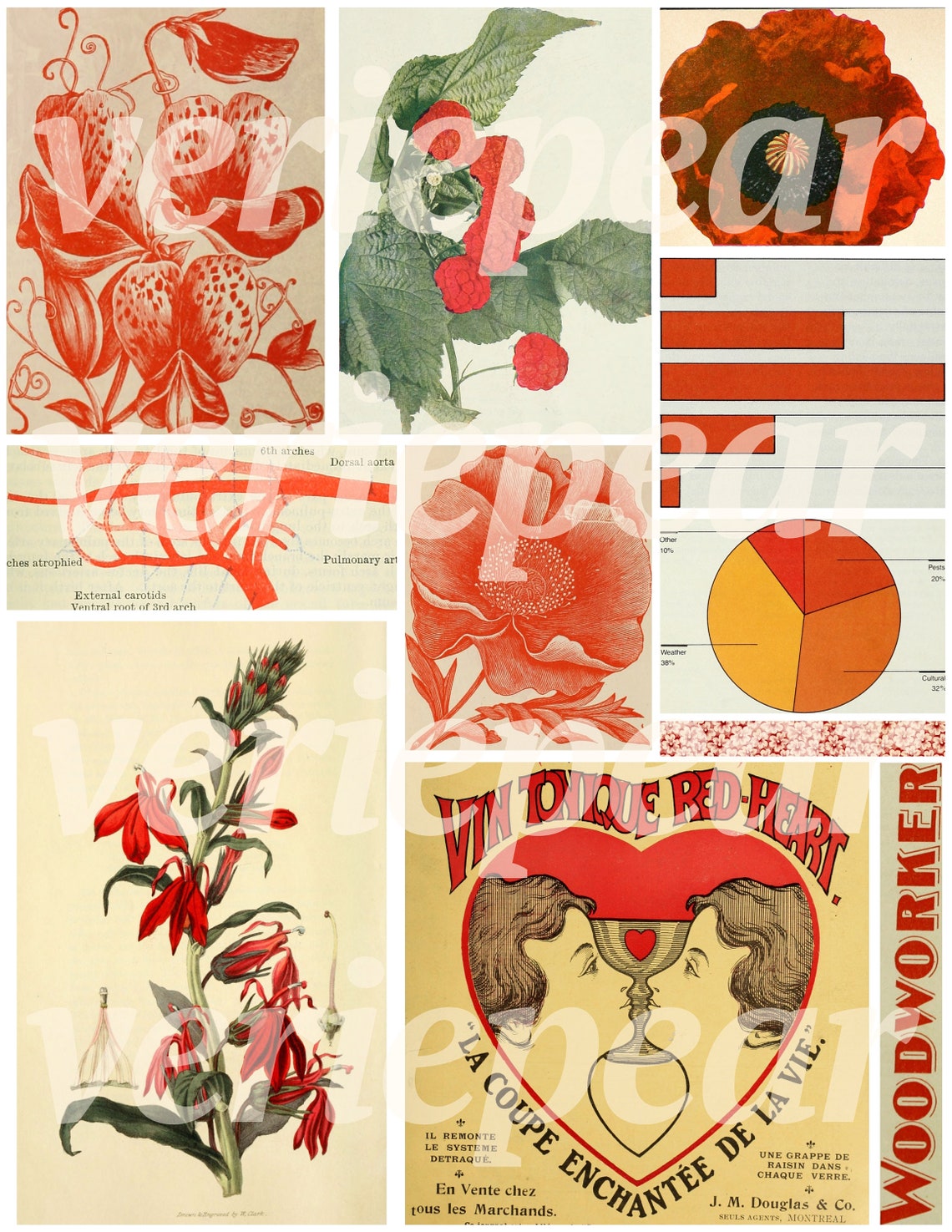 Vintage Red Ephemera Kit 65 Pc Printable Junk Journal - Etsy