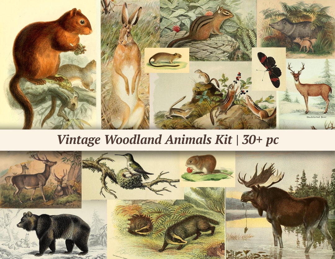 Vintage Woodland Animal Ephemera Kit | 30+ Pc | Printable Junk Journal ...
