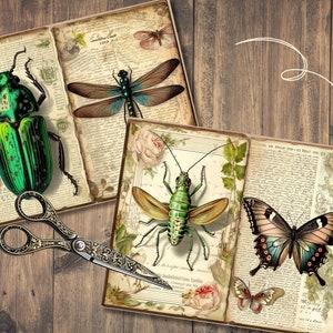 Vintage Insects Junk Journal Pages, Digital Scrapbook Paper Kit ...