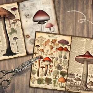 Mushroom Journal Pages, Digital Fungi Junk Journal Paper, Printable ...