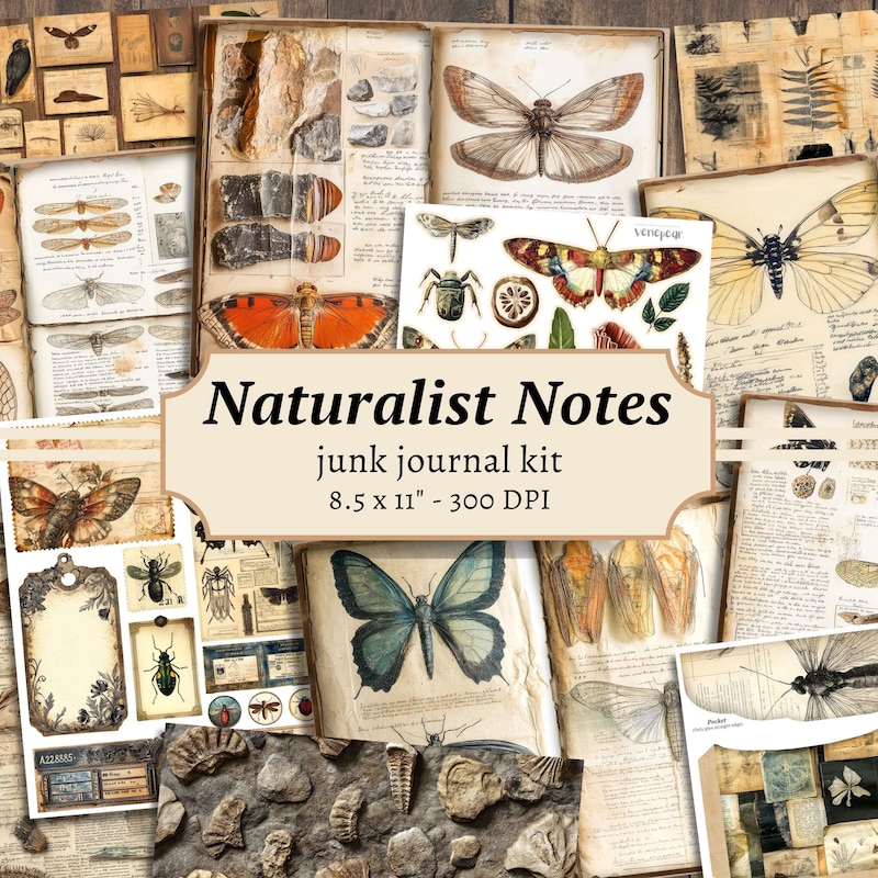 Printable Specimen Kit - Etsy