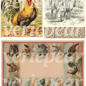 Vintage Farm Ephemera | 40+ Pc | Digital Collage Sheet, Printable ...