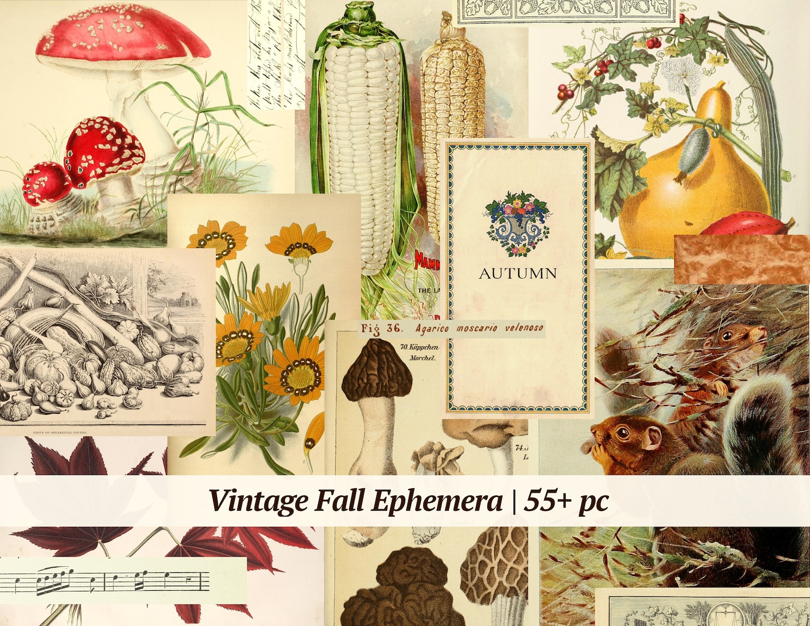 Vintage Fall Ephemera | 55+ Pc | Printable Autumn Junk Journal Paper ...