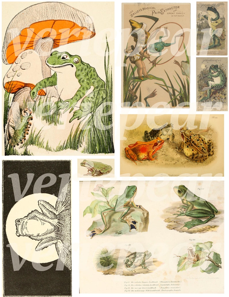 Vintage Frog Ephemera Kit | 40+ Pc | Toad Junk Journal Paper, Trade ...