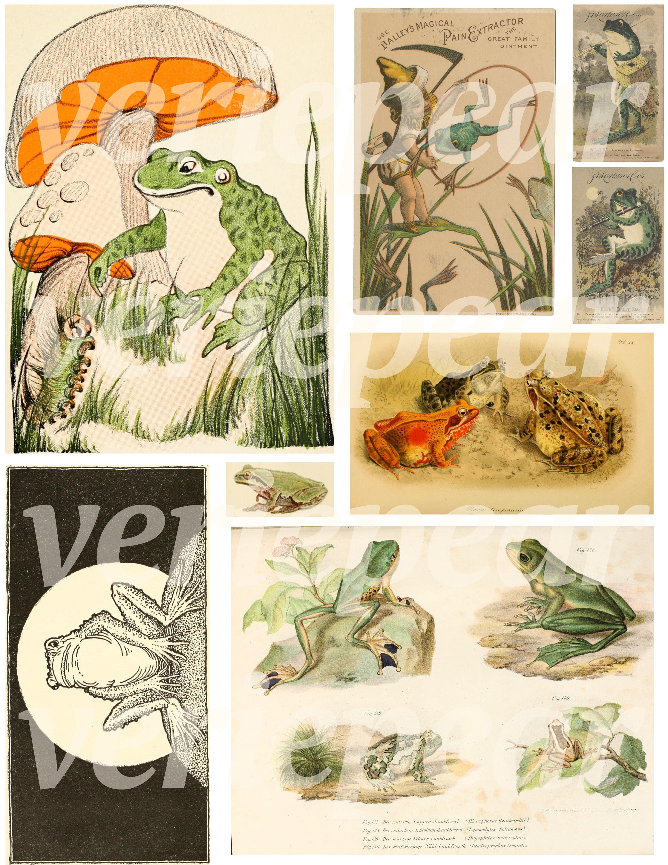 Vintage Frog Ephemera Kit 40 Pc Toad Junk Journal Paper - Etsy
