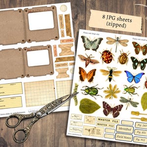 Specimen Slide Kit, Digital Insect Ephemera, Entomology Printable ...