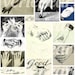 Vintage Hand Ephemera | 75+ Pc | Pointing Hand Clipart, Printable ...