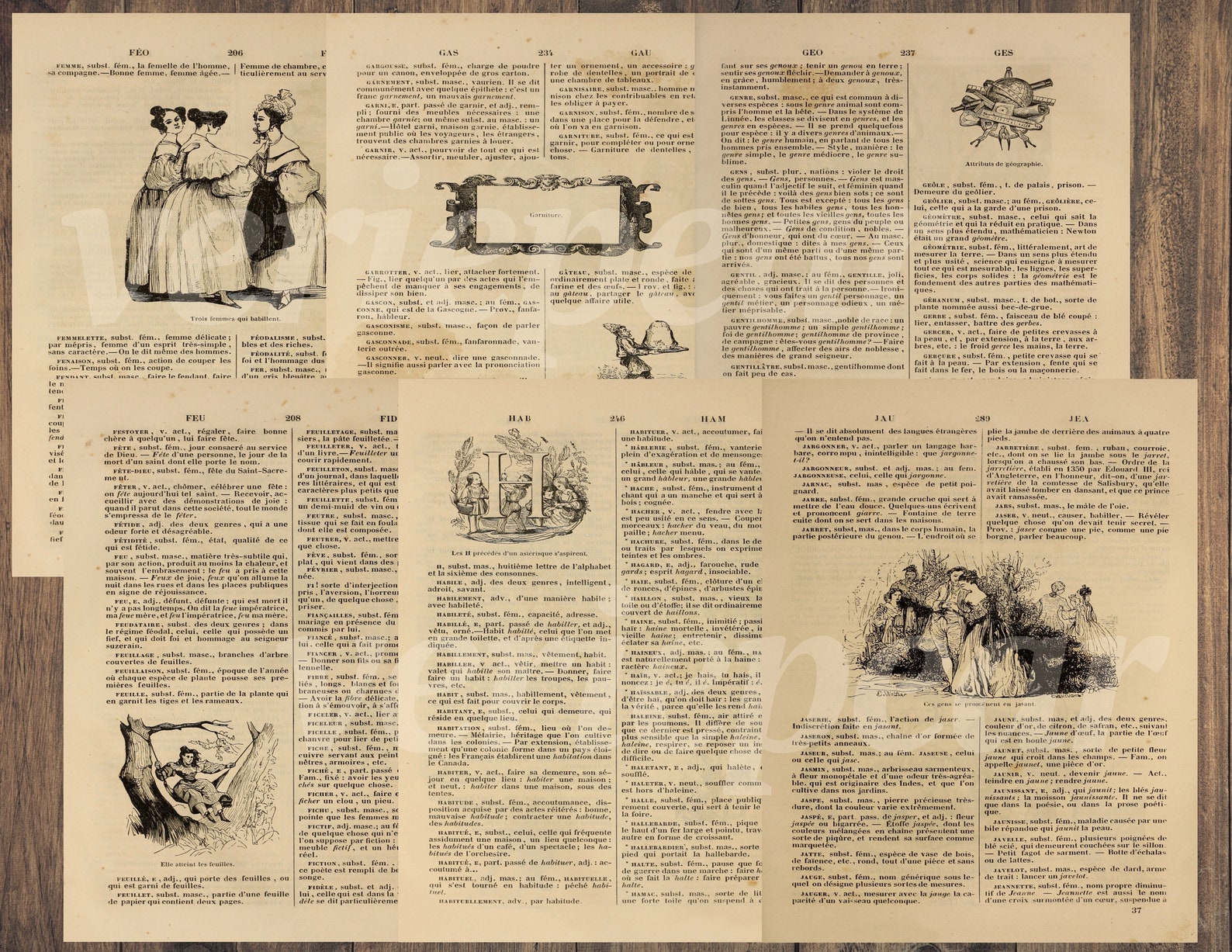 Vintage French Dictionary Pages | 22 Pc | Digital Junk Journal Ephemera ...