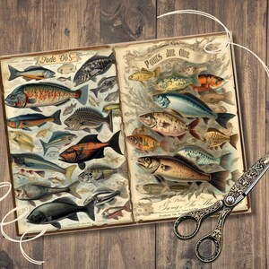 River Fish Junk Journal Pages, Digital Scrapbook Paper Kit, Marine ...