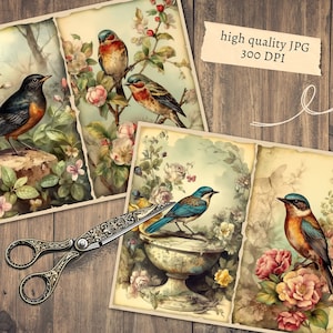 Vintage Bird Junk Journal Pages, Digital Floral Scrapbook Paper Kit ...