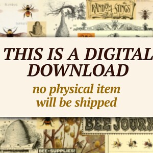 Vintage Bee Ephemera 60 Pc Digital Junk Journal Paper, Printable ...