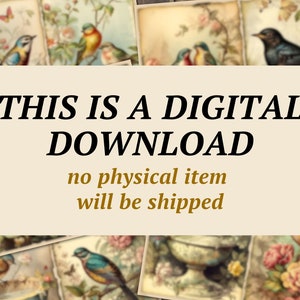 Vintage Bird Junk Journal Pages, Digital Floral Scrapbook Paper Kit ...