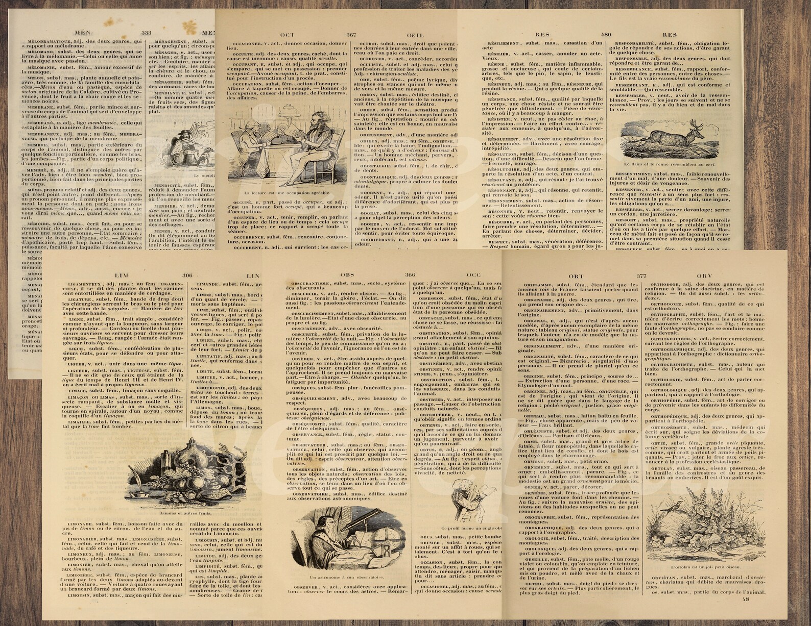Vintage French Dictionary Pages | 22 Pc | Digital Junk Journal Ephemera ...