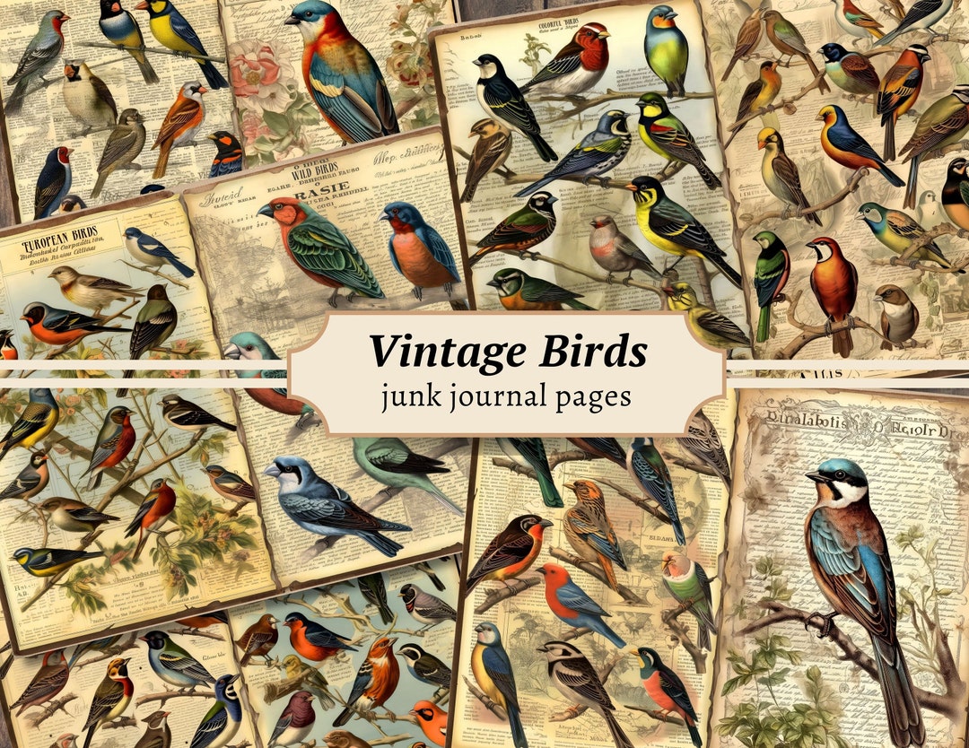 Vintage Birds Junk Journal Pages, Digital Scrapbook Paper Kit, Animal ...