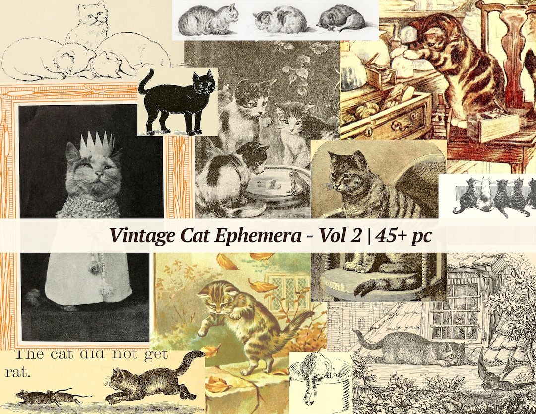 Vintage Cat Ephemera | 45+ Pc | Vol 2 | Kitten Printable, Digital Junk ...