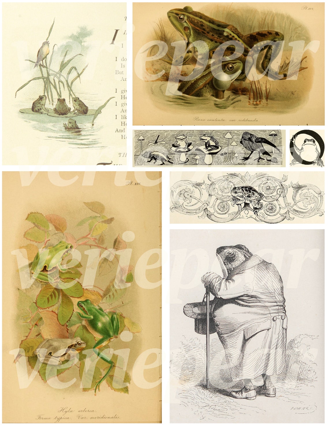 Vintage Frog Ephemera Kit | 40+ Pc | Toad Junk Journal Paper, Trade ...