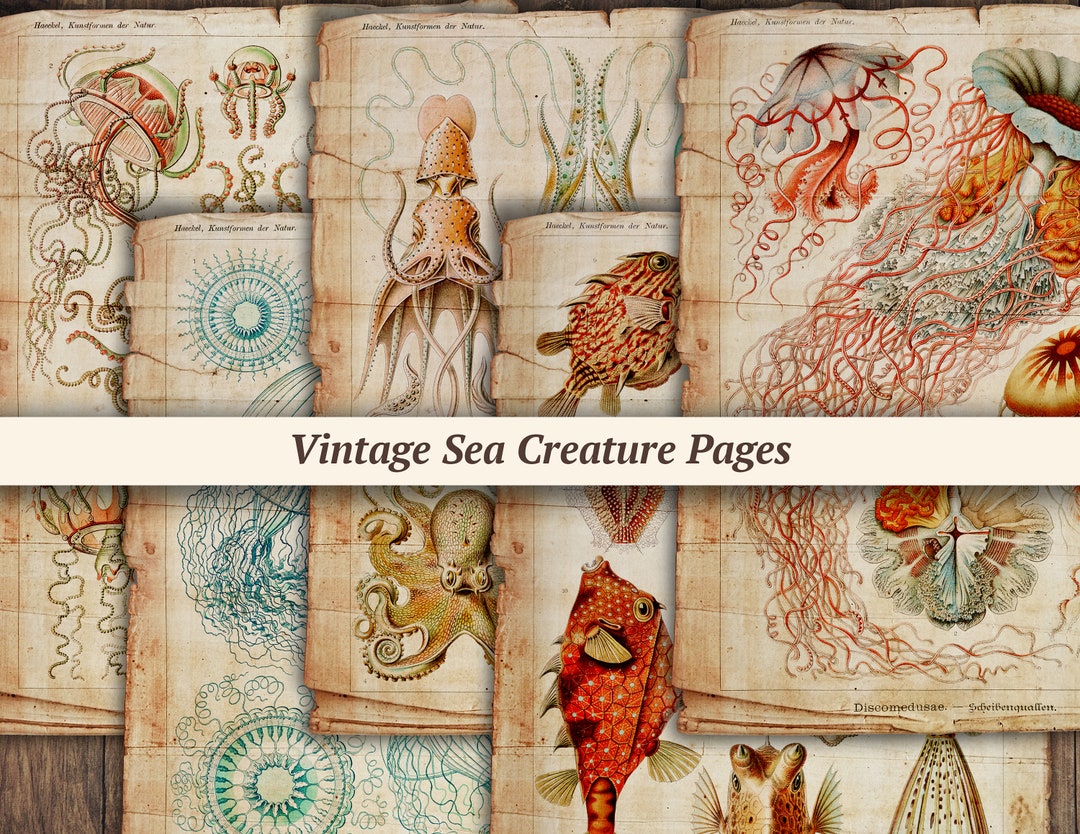 Vintage Sea Creature Pages | Digital Junk Journal Paper, Ocean ...