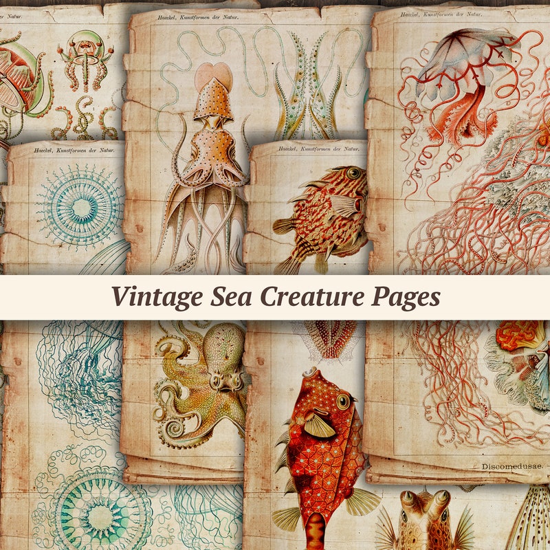 Sea Monster Print - Etsy